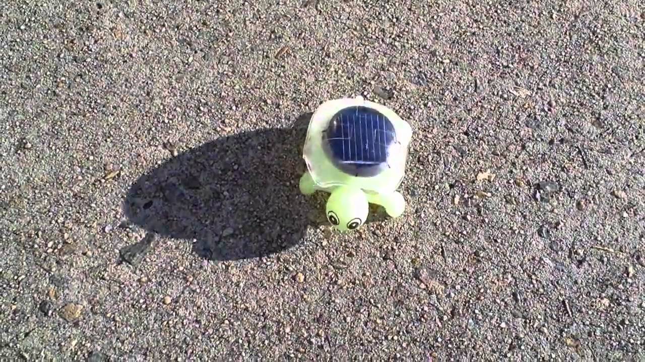 Mini Solar Turtle - Ozstock.com.au - YouTube