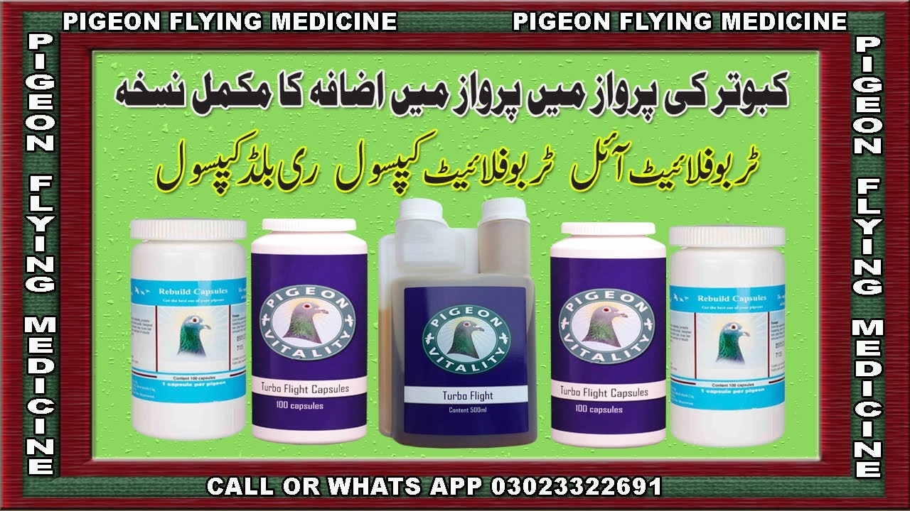 TURBO FLIGHT OIL | PIGEON FLYING MEDICINE | TURBO FLIGHT CAPSULES ...