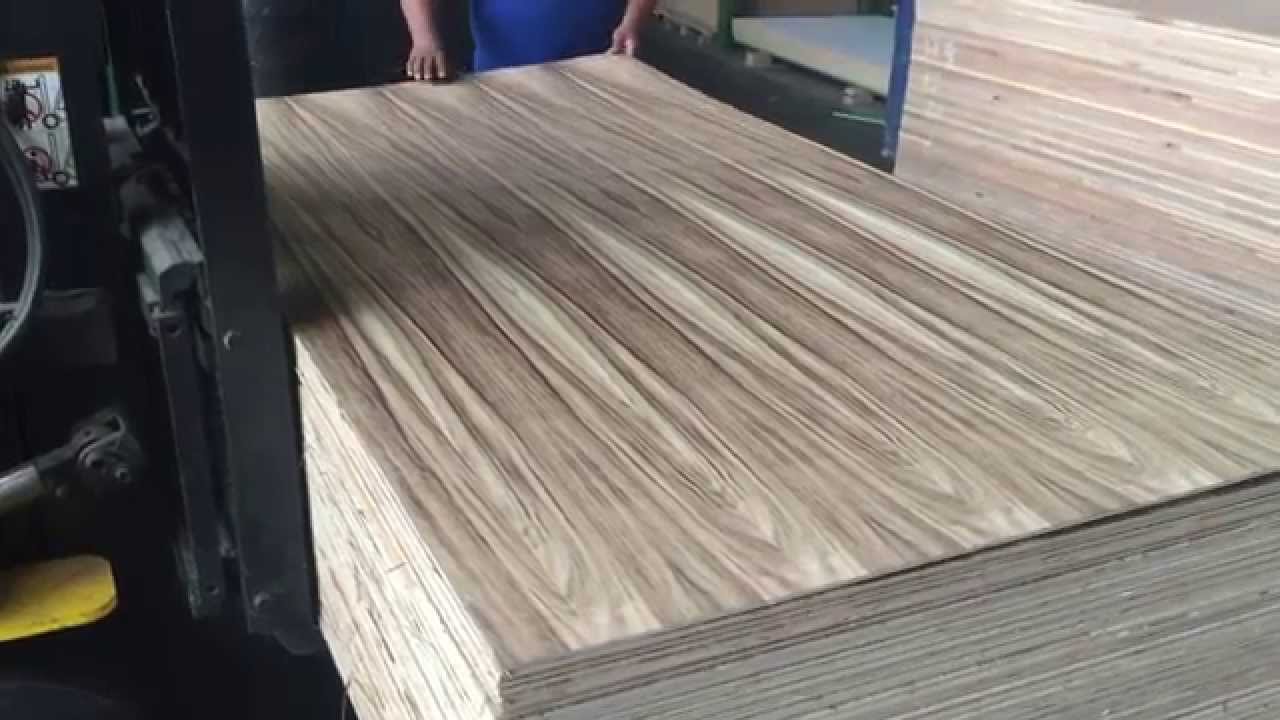 TRIPLAY PAROTA - YouTube