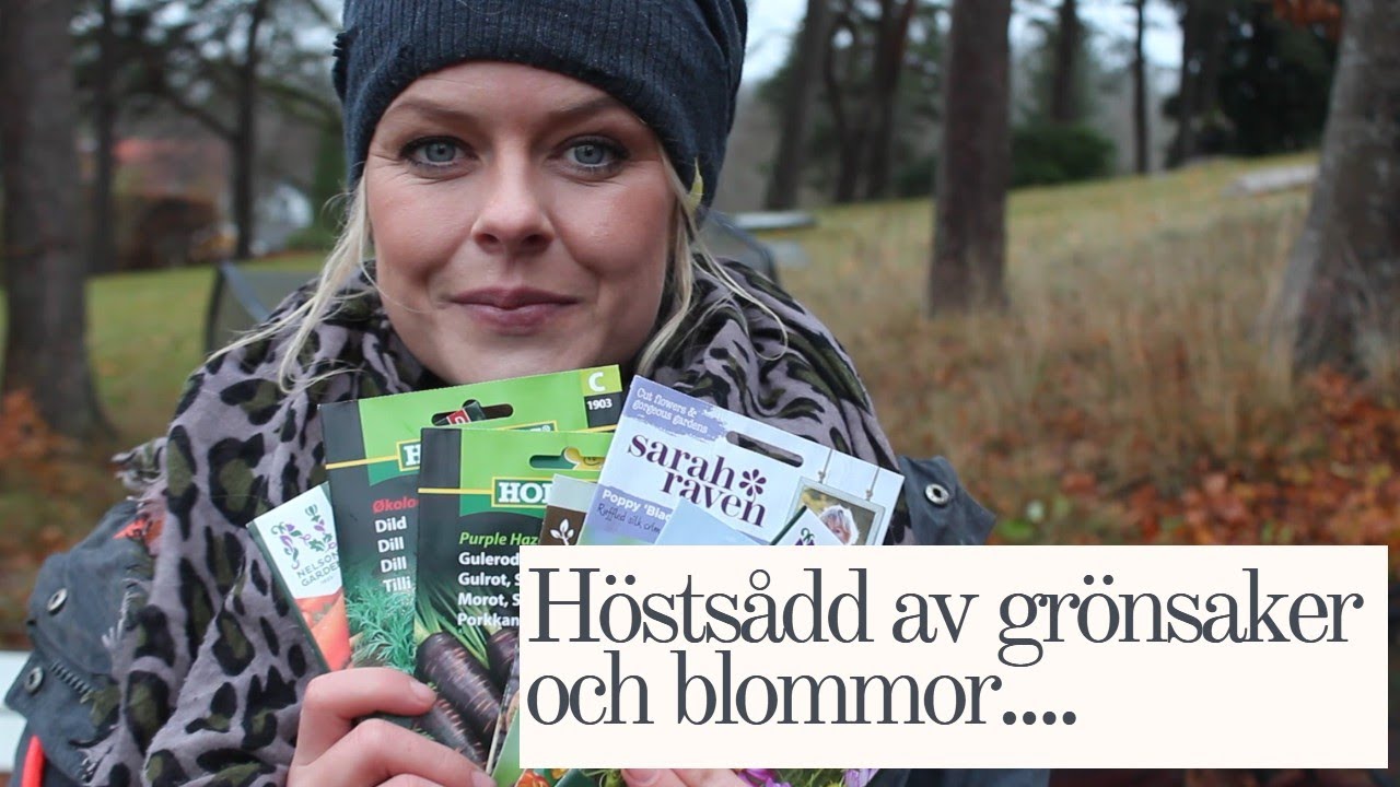 Höstsådd av Grönsaker och Blommor i November! - YouTube