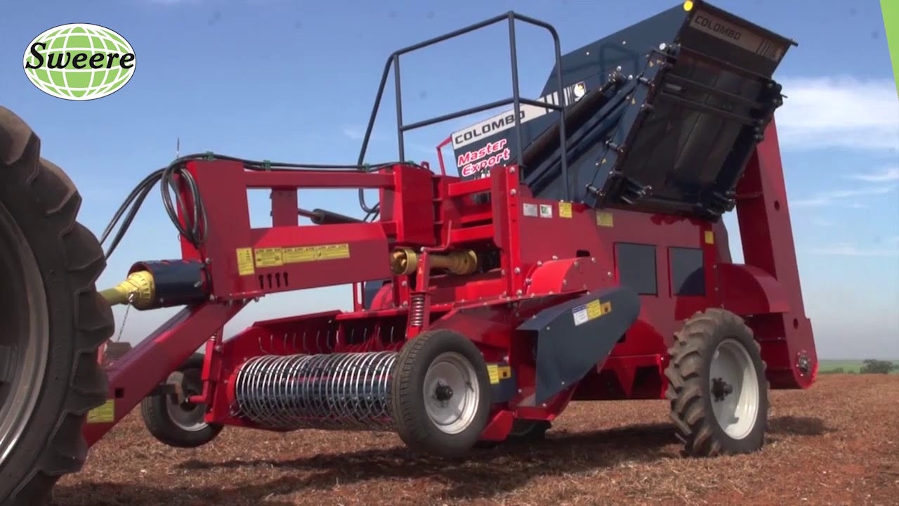 Dry bean harvesting - Master Export | Sweere - YouTube