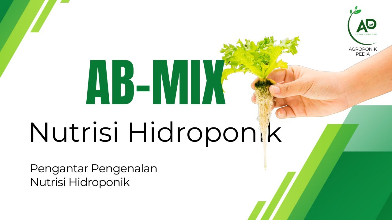Pupuk Hidroponik (AB Mix) - YouTube
