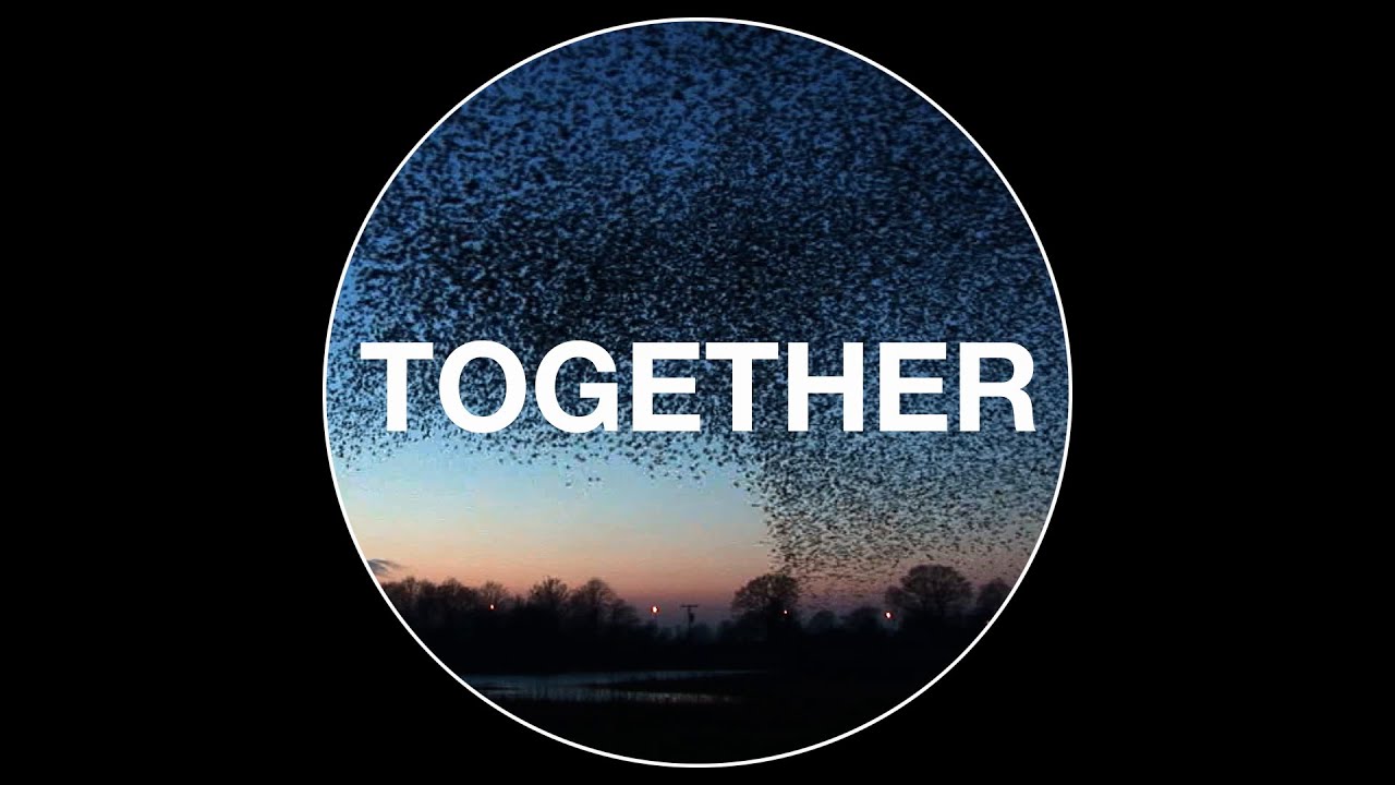 We are in this together | Carbon neutral by 2030 | Alfa Laval - YouTube