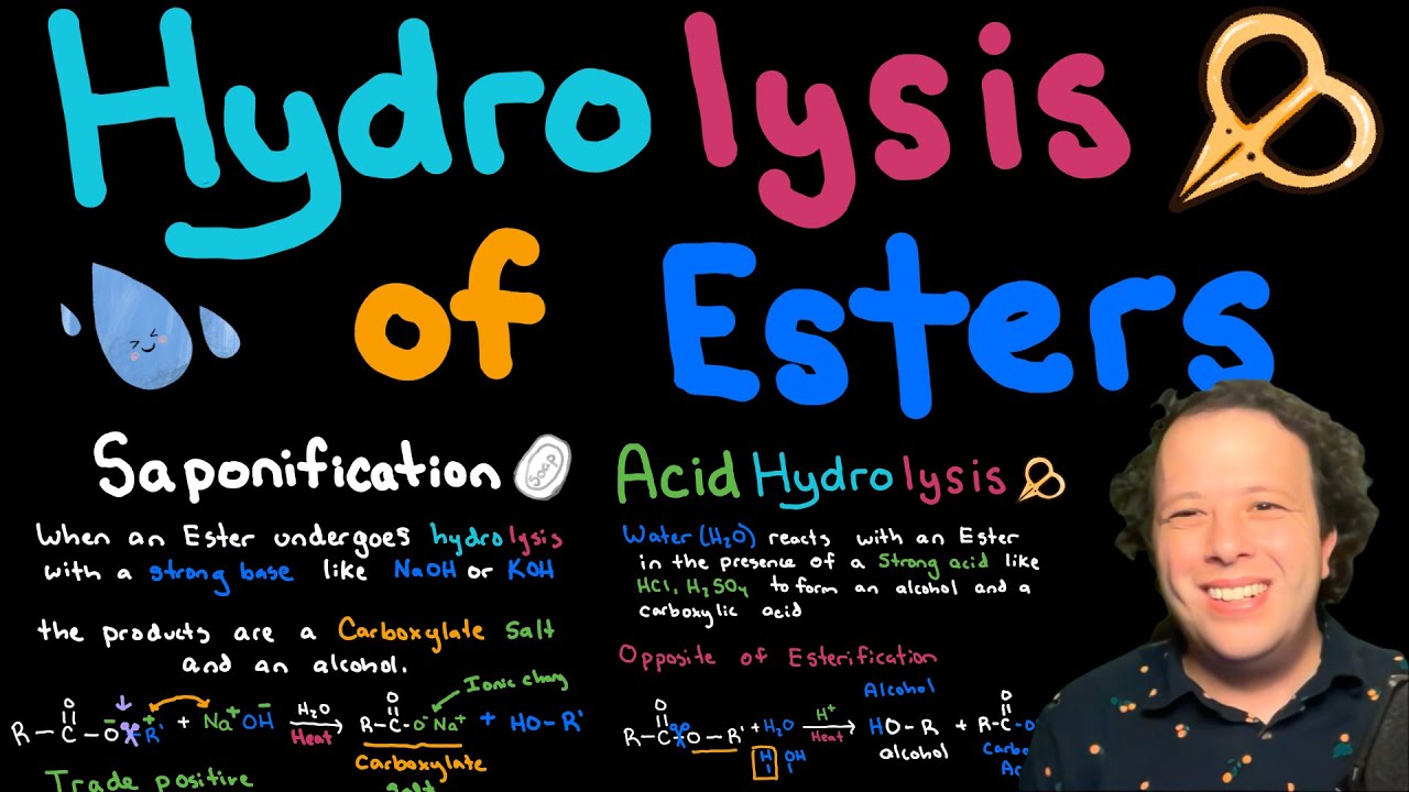 Hydrolysis of Esters | Acid and Base (Saponification) Hydrolysis ...