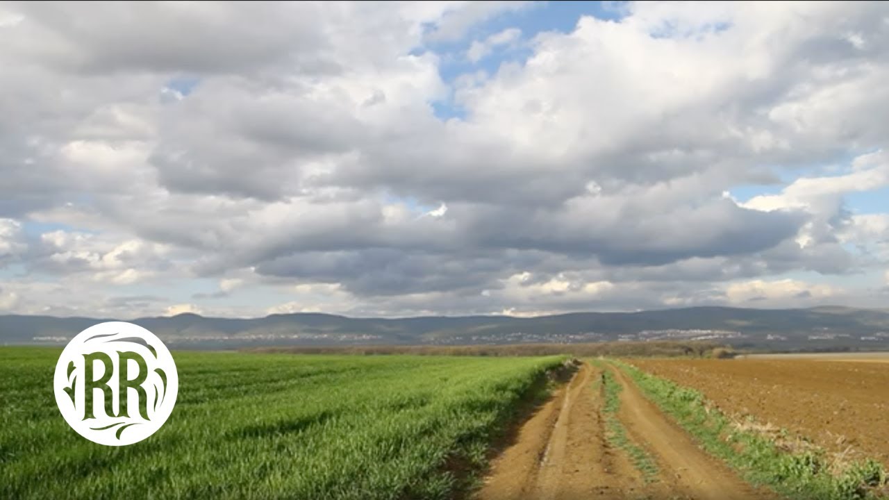 Rural Rhythm Records - Bluegrass Hits [Bluegrass Visualizer] - YouTube