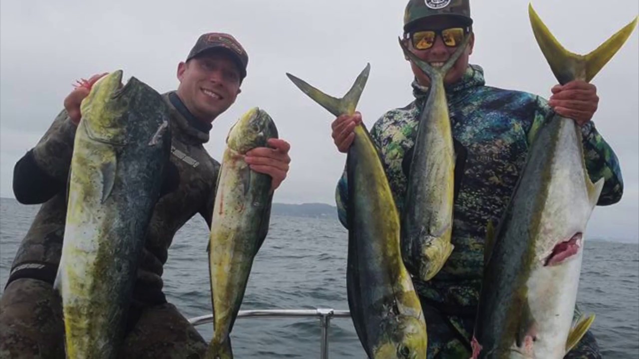 San Diego Blue Water Hunting - YouTube