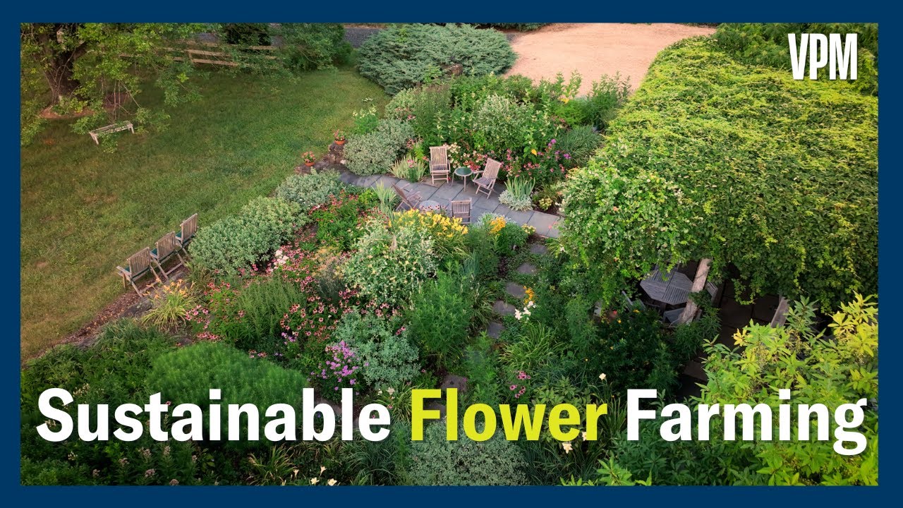 Sustainable Micro Flower Farm - YouTube