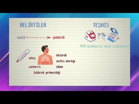 Koronavirüsü belirtileri ve tedavi yöntemleri? Balçiçek ile Dr. Cankurtaran 90. Bölüm