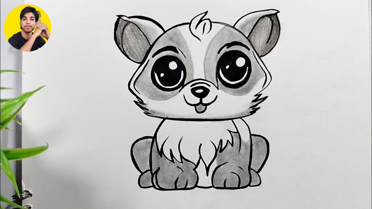 How to draw a cute pappy - step by step // pencil drawing for beginners ...