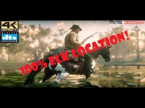 [ENG] Red Dead Redemption 2 - 100% ELK Spawn! How to get a perfect ELK ...