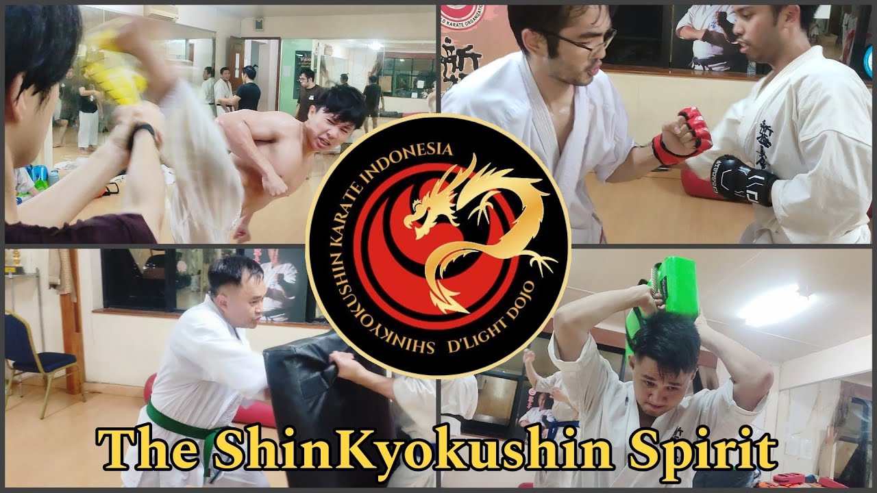 THE SHINKYOKUSHIN SPIRIT | Karate Motivation Video | D'Light Dojo After ...