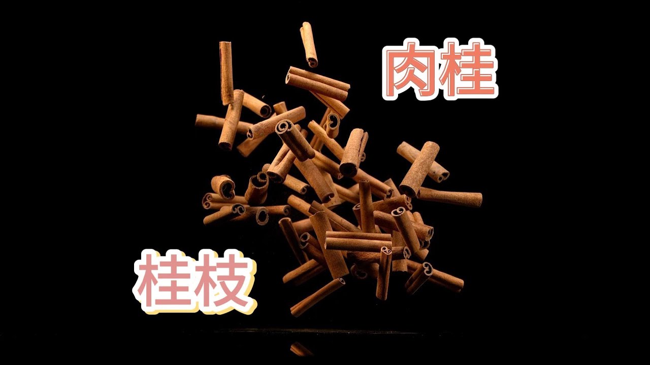 Gui Zhi & Rou Gui (Cinnamon) - TCM Herb in Shang Han Lun - YouTube