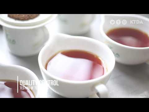 CTC TEA MANUFACTURING PROCESS IN A KTDA FACTORY - YouTube