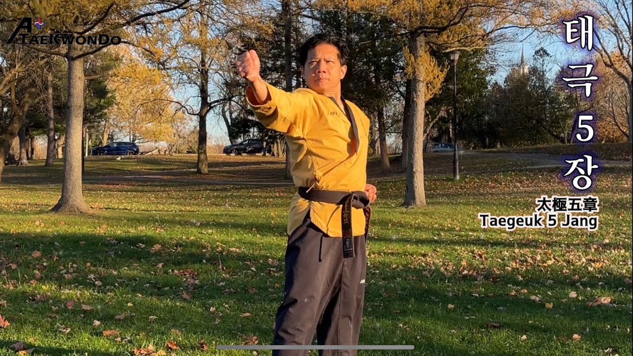 Taekwondo Poomsae：Taegeuk 5 Jang 跆拳道品勢：太極五章 태권도품새：태극5장 - YouTube