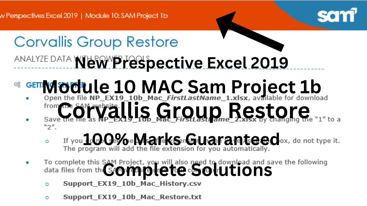 EXCEL MODULE 10 SAM PROJECT MAC B | Corvallis Group Restore || NP_EX19 ...