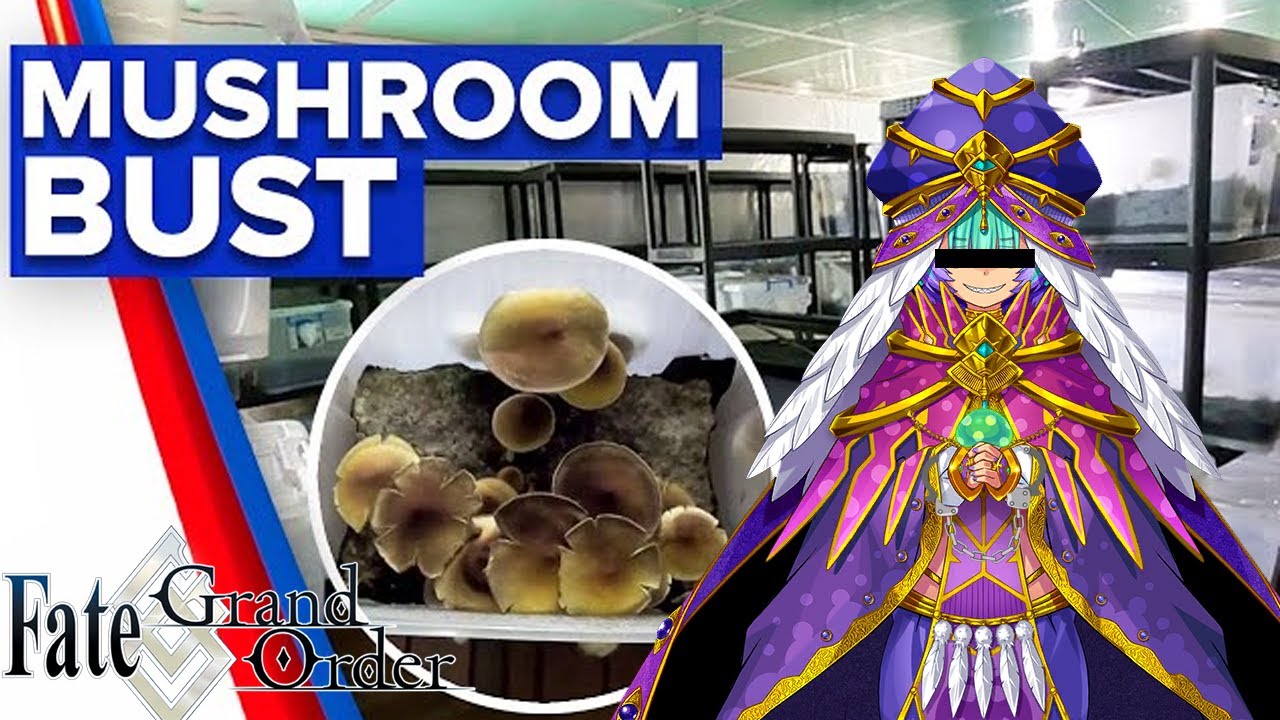【FGO】Locusta magic shrooms bust - YouTube