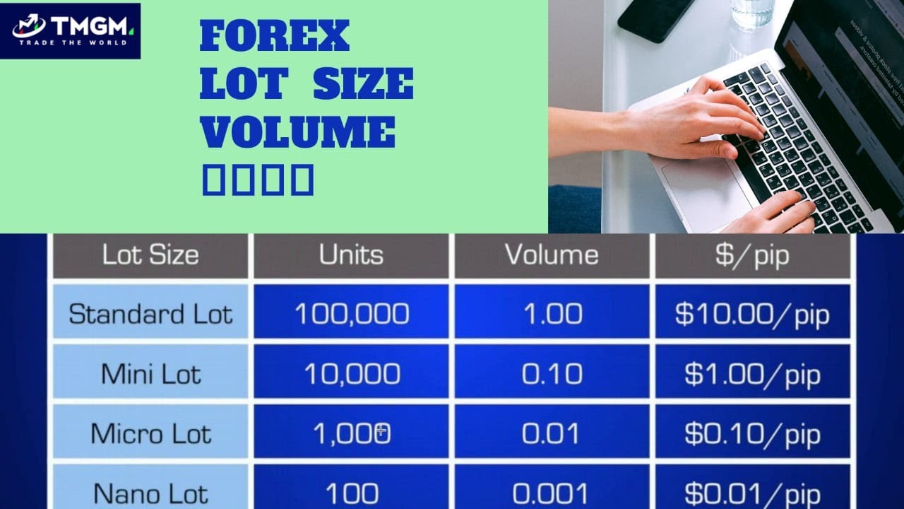 WHAT IS FOREX LOT SIZE/VOLUME?|MT4 PLATFORM| TMGM TradeMax Global ...
