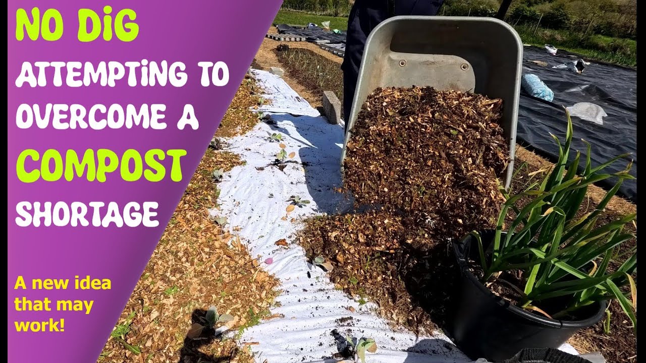 No Dig with shallow compost starter trial - YouTube