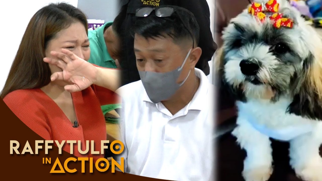 PART 2 | MAIIYAK ANG MGA DOG LOVER SA KASONG ITO! - YouTube