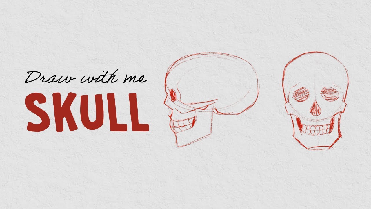 Draw with me: Skull front and side view - YouTube