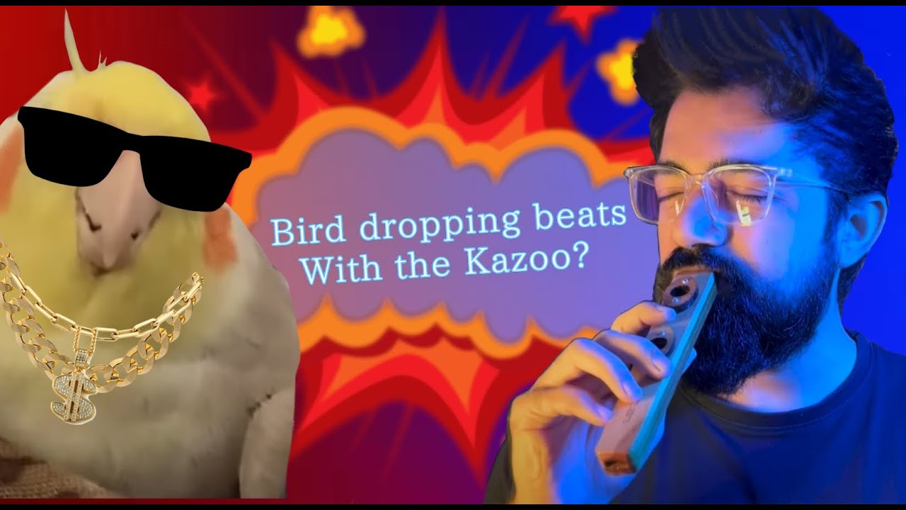 Bird dropping beats with Kazoo? - YouTube