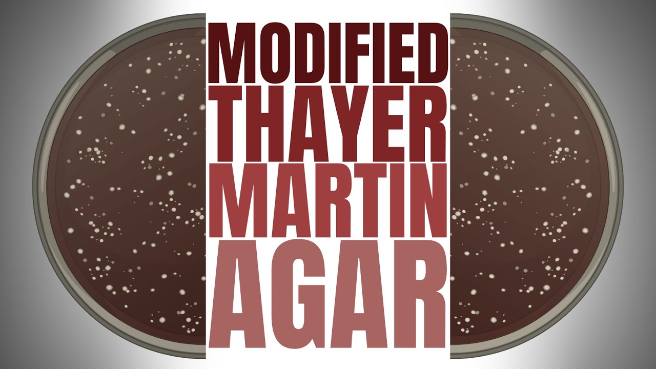 Modified Thayer Martin Agar: Composition, Preparation, Principle ...