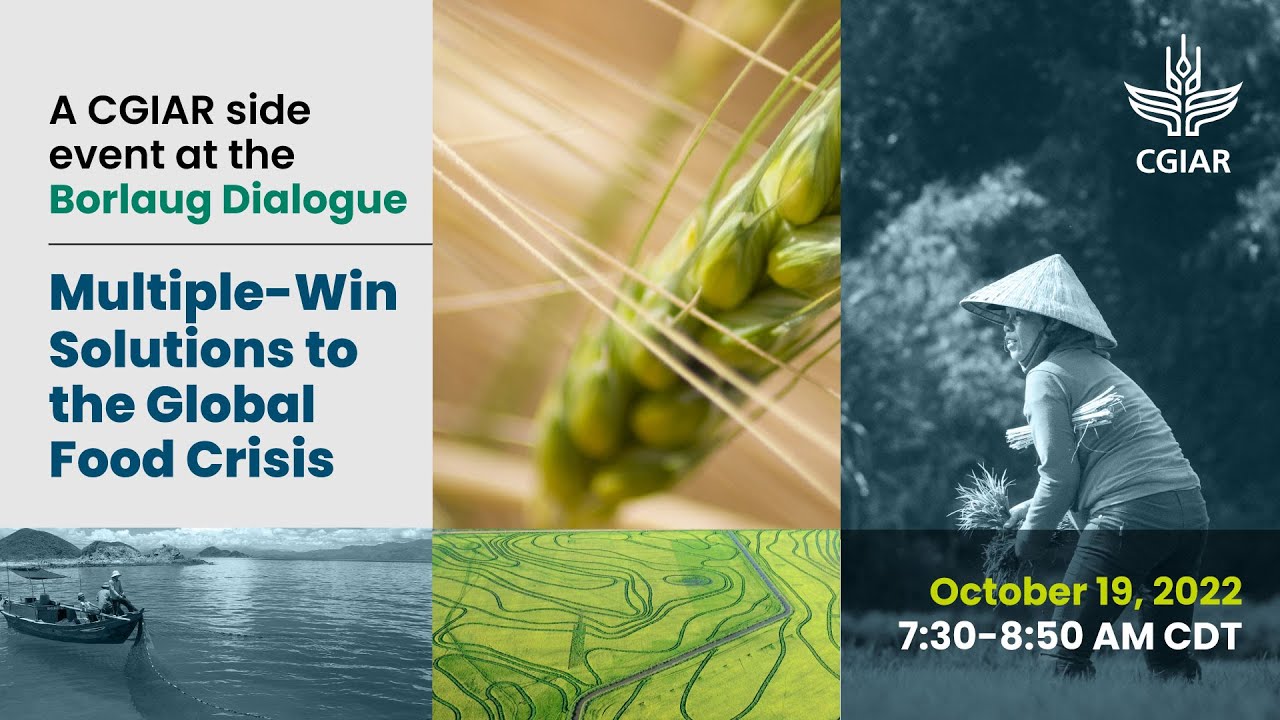 Global Food Shortage Solutions Rebooting Food Systems To Achieve The