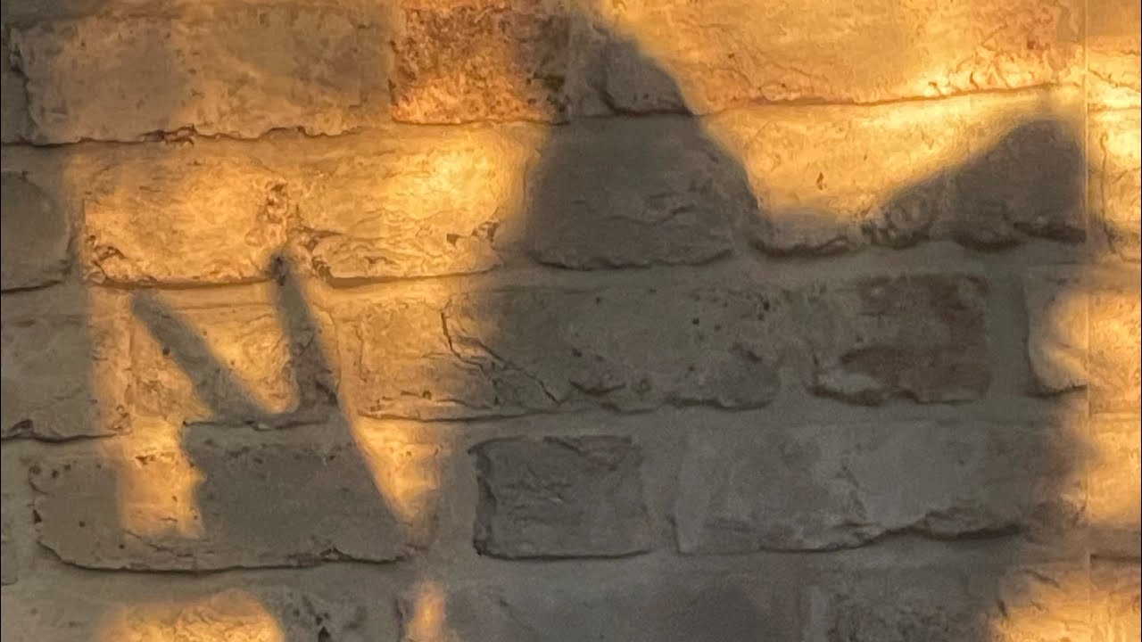 My quadrobics tutorial 🐾🐾😄hope it helps#gearing #quadsjump #therian# ...