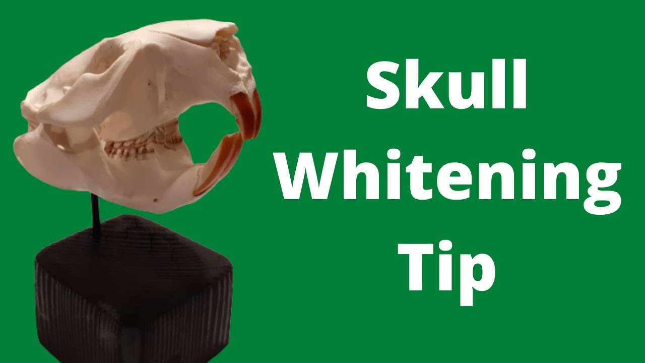 Skull Whitening Tips - YouTube
