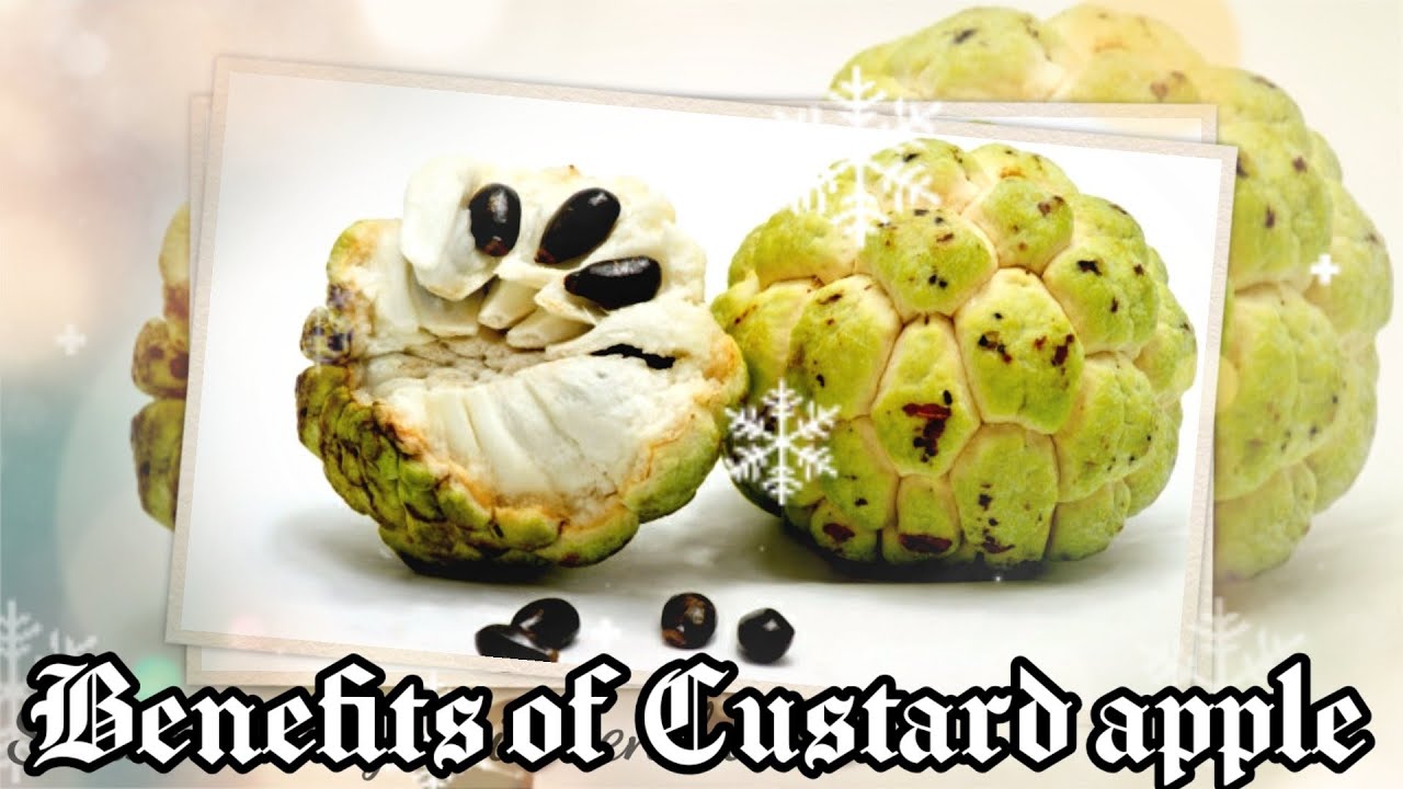 Benifits of custard apple and their types| ವಿಶೇಷವಾದ ಸೀತಾಫಲ ಹಣ್ಣಿನ ...