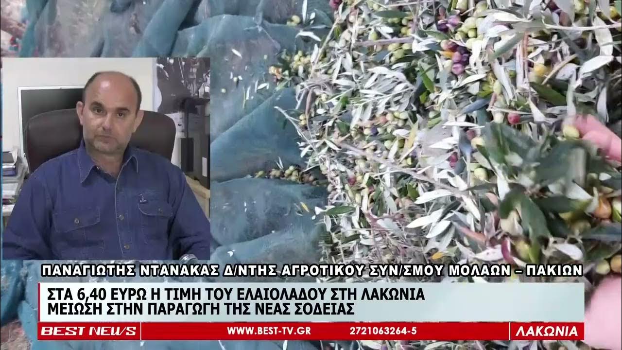 ΝΤΑΝΑΚΑΣ ΣΤΑ 6 40 ΕΥΡΩ Η ΤΙΜΗ ΤΟΥ ΕΛΑΙΟΛΑΔΟΥ ΣΤΗ ΛΑΚΩΝΙΑ Youtube