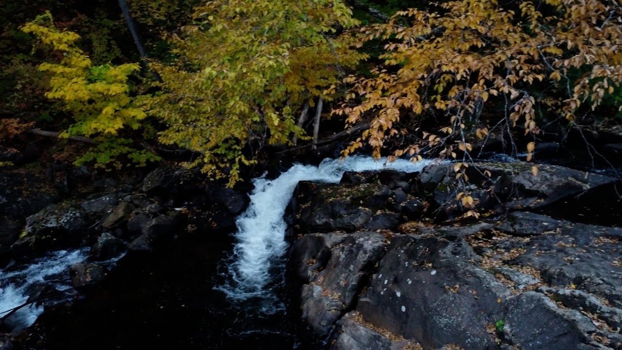 Newfound River Seasons - YouTube