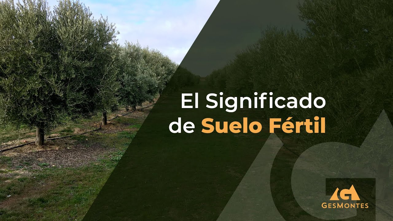 Cual es el significado de Suelo Fértil - YouTube