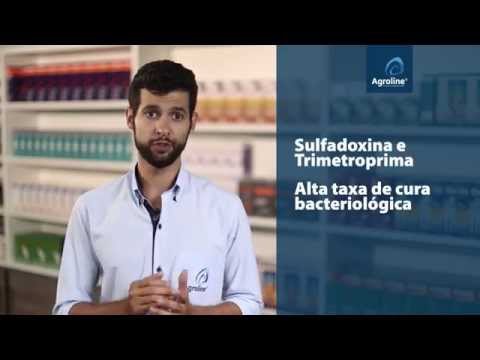 Tire todas suas dúvidas sobre o Borgal - agroline.com.br - YouTube