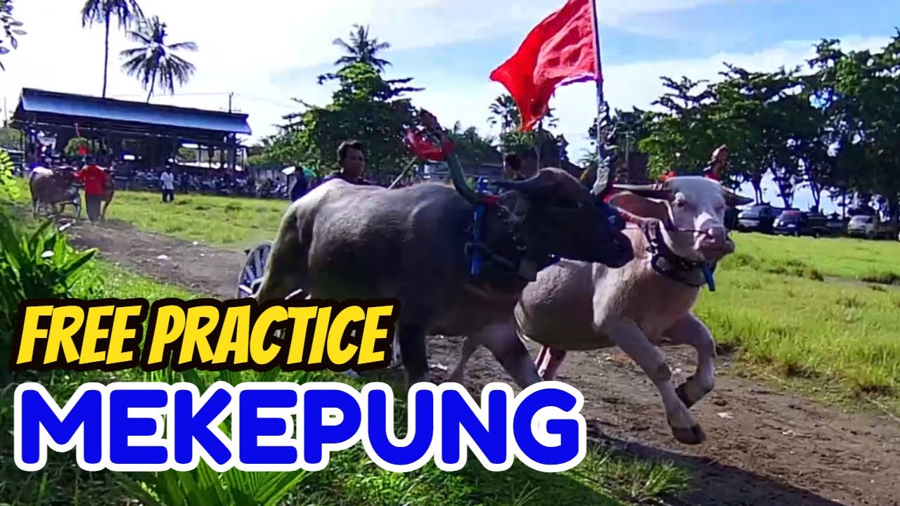 Free Practice Mekepung // Sirkuit Mekepung Delodberawah //09-04-2023 ...