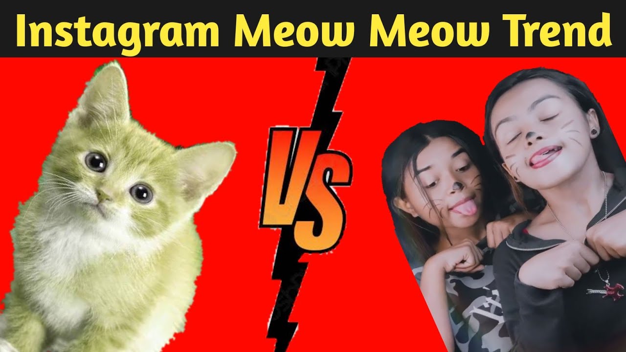 The MEOW MEOW 🐈 TREND is the CRINGIEST| Instagram Reels ft. BEAUTY KHAN ...