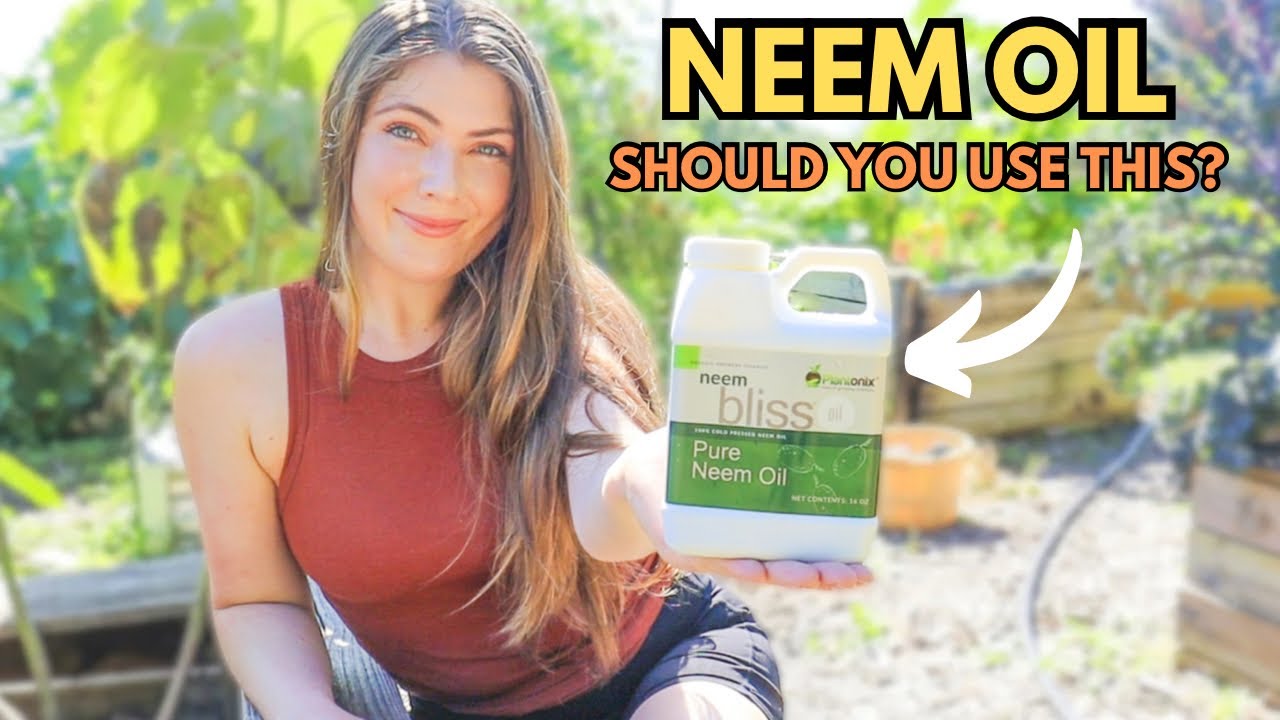 NEEM OIL - FACTS you need to know + HOW I apply it! #neemoil - YouTube