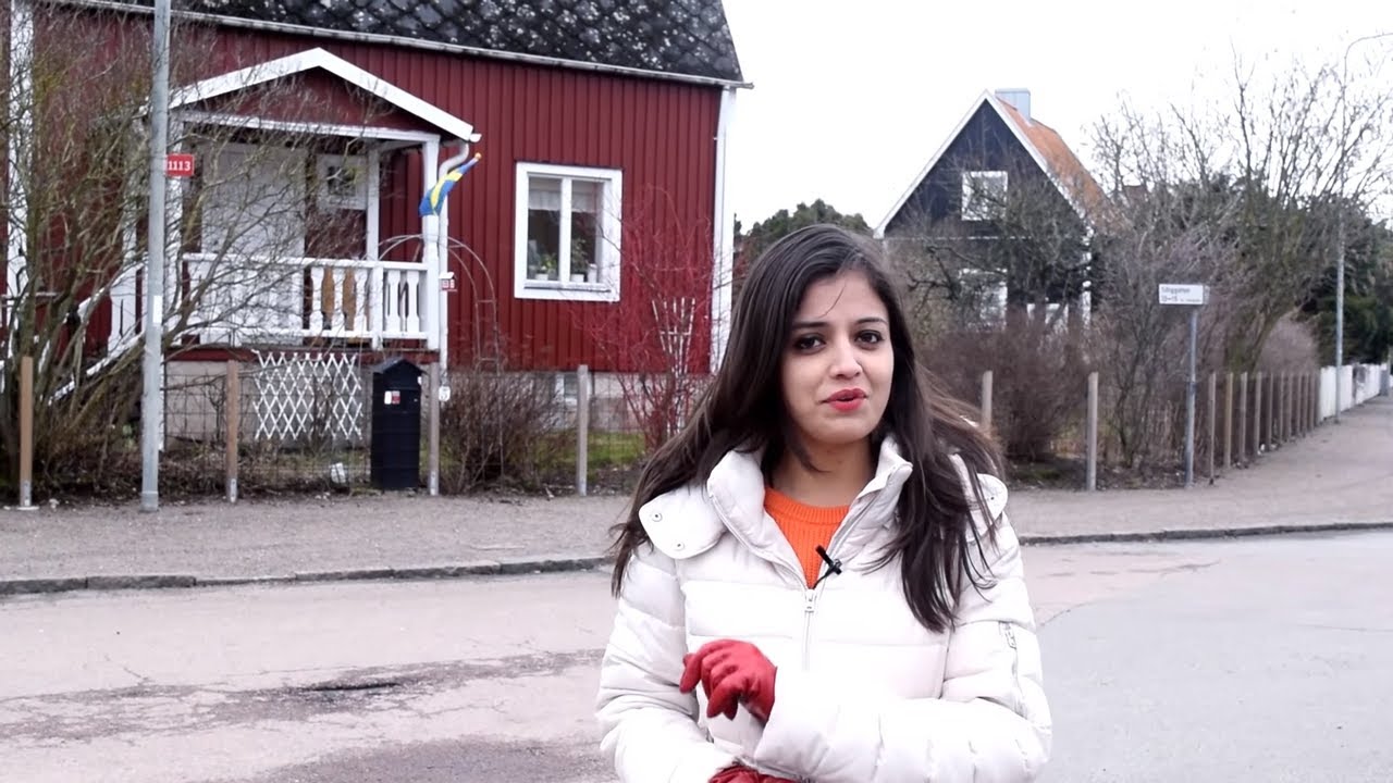1st part...introduction(Indians in Sweden) - YouTube