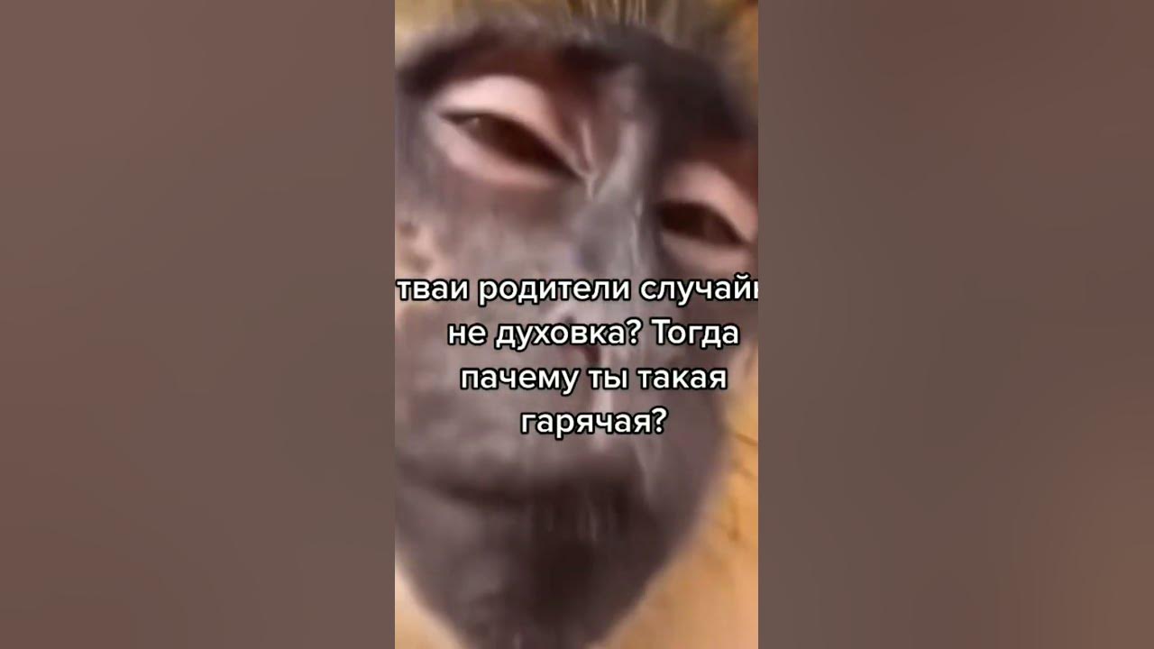 Твои родители случайно не духовка - мем😂 #подкаты - YouTube