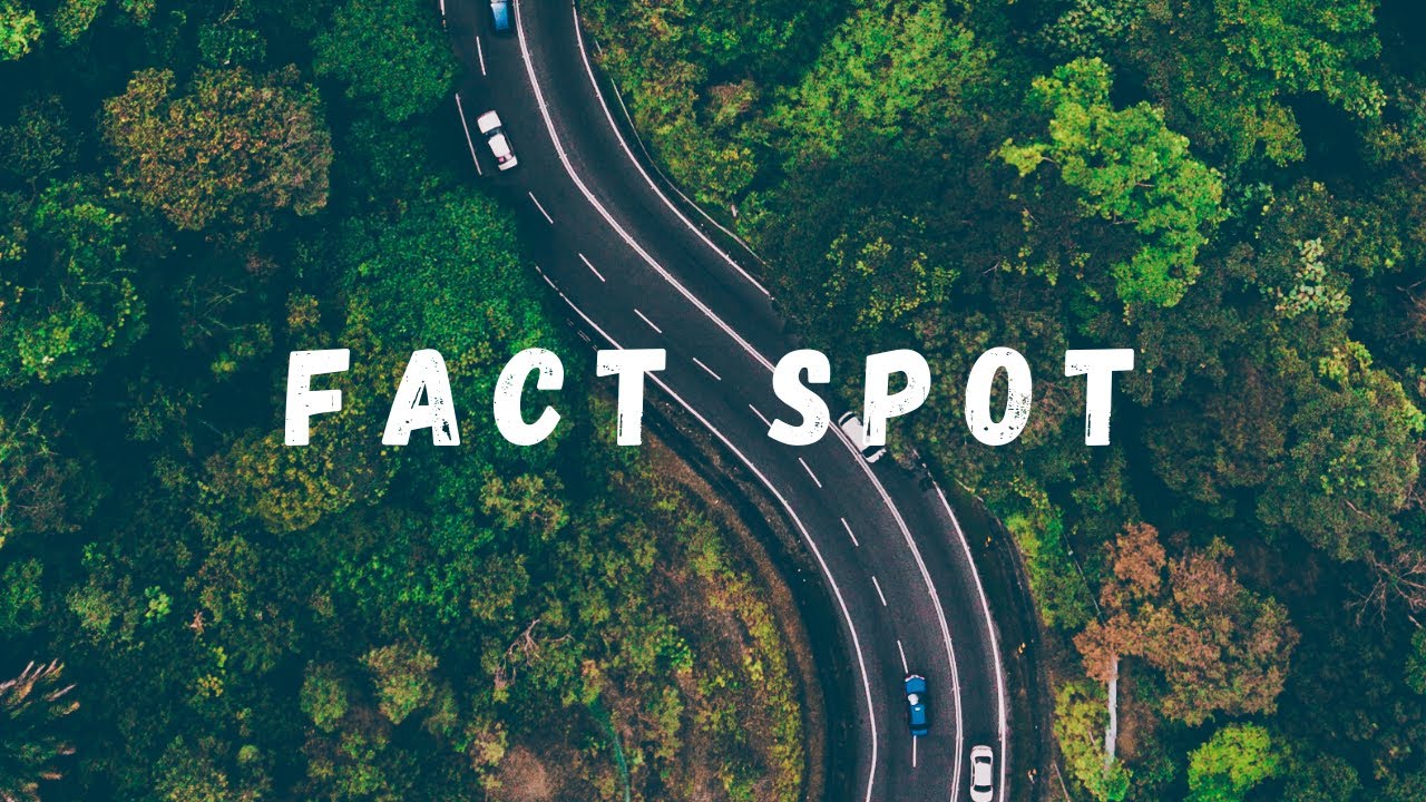 Fact Spot - The Beginning | Teaser | #Shorts - YouTube