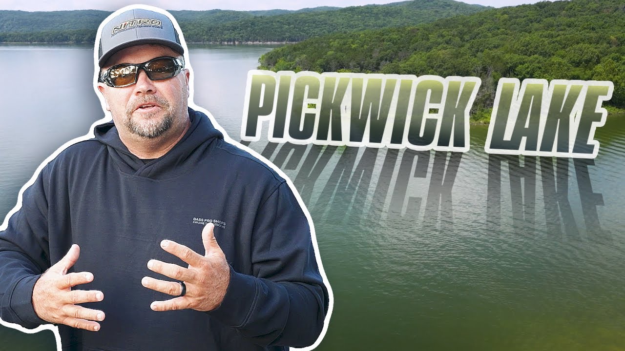 Pickwick Lake Fishing Report! | All Seasons | Timmy Horton - YouTube