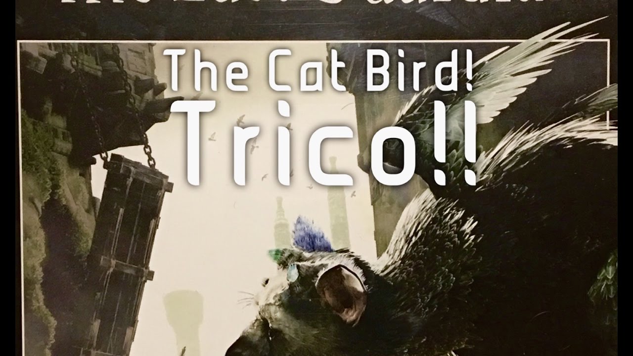 THE CAT BIRD! TRICO! - The Last Guardian Part 1 - YouTube
