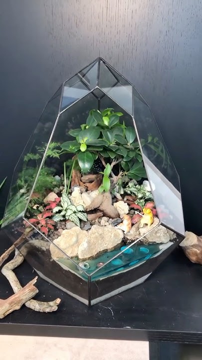 Мастер классы, флорариумы, комнатные растения Florarium-flo.ru - YouTube