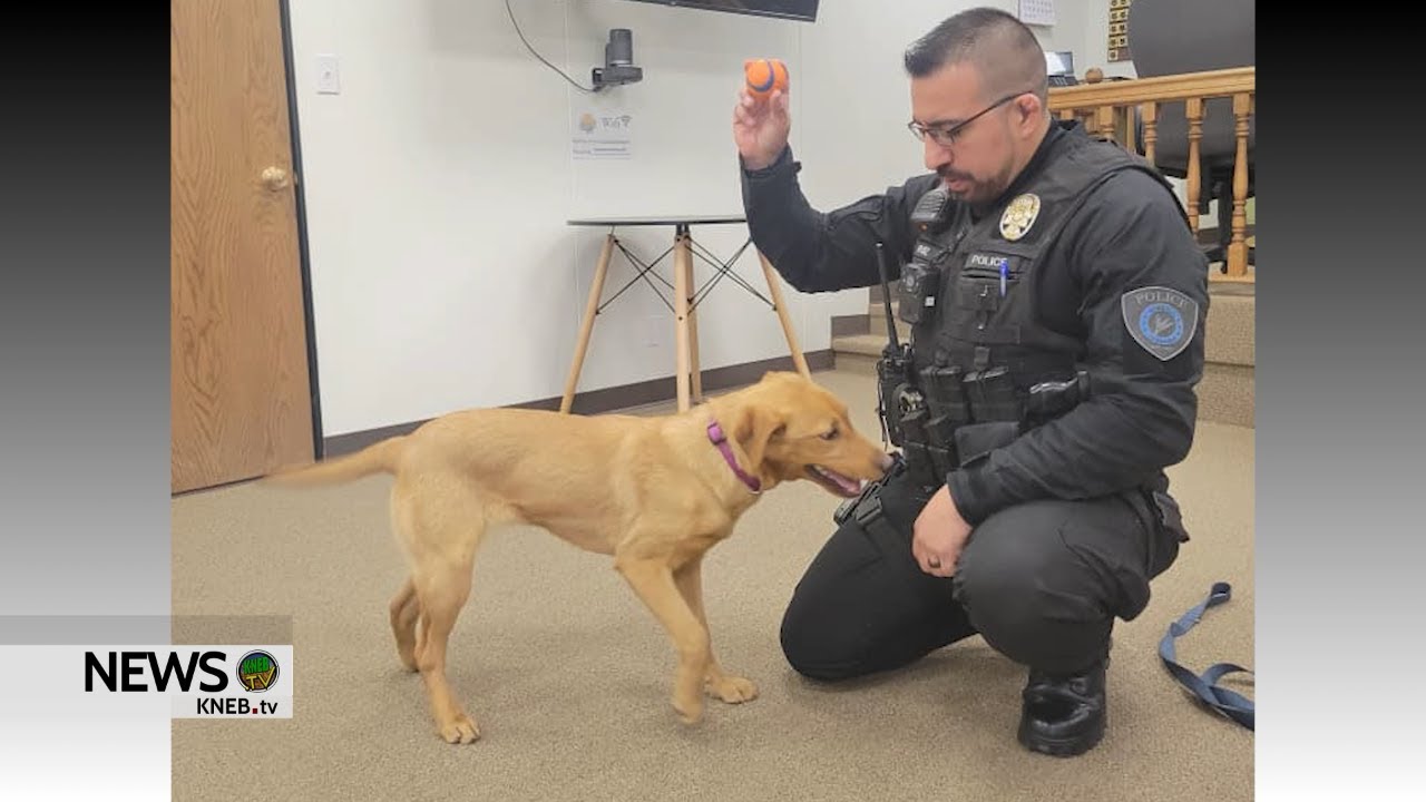 Kimball Police Department K9 Program - YouTube
