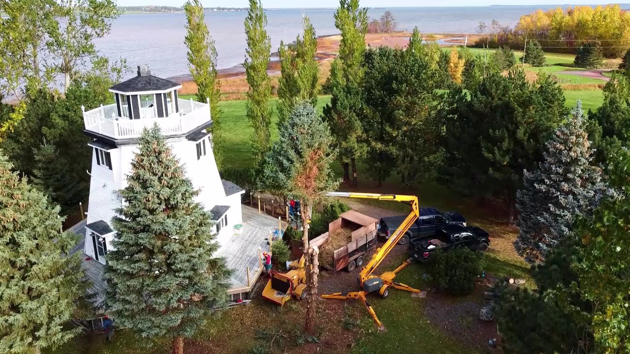Tree Removal Project in Brule, Nova Scotia - Hunt Ventures Tree ...