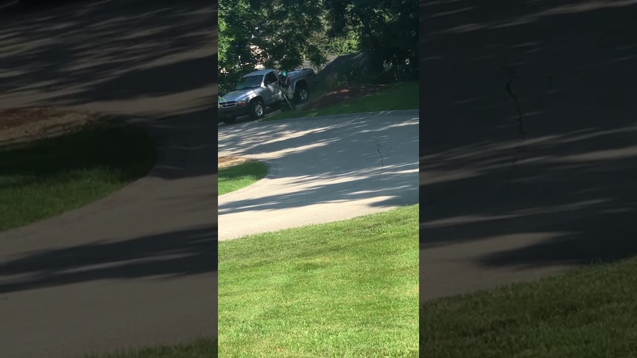 Treesdale Landscaping - YouTube