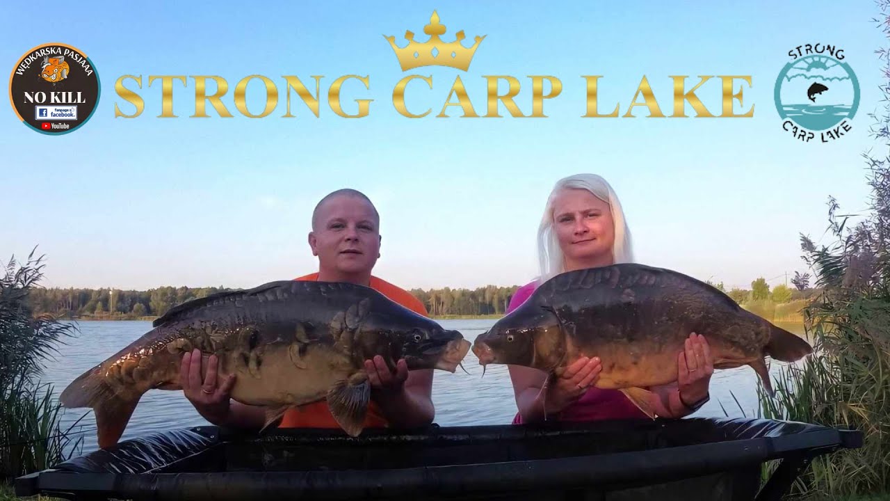 TAK SIĘ ŁOWI WIELKIE RYBY 🐟NA STRONG CARP LAKE 🎣 4K - YouTube