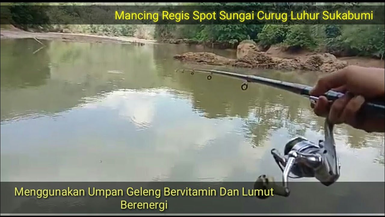 Mancing Regis Di Bendungan Sungai Curug Luhur Sukabumi - YouTube