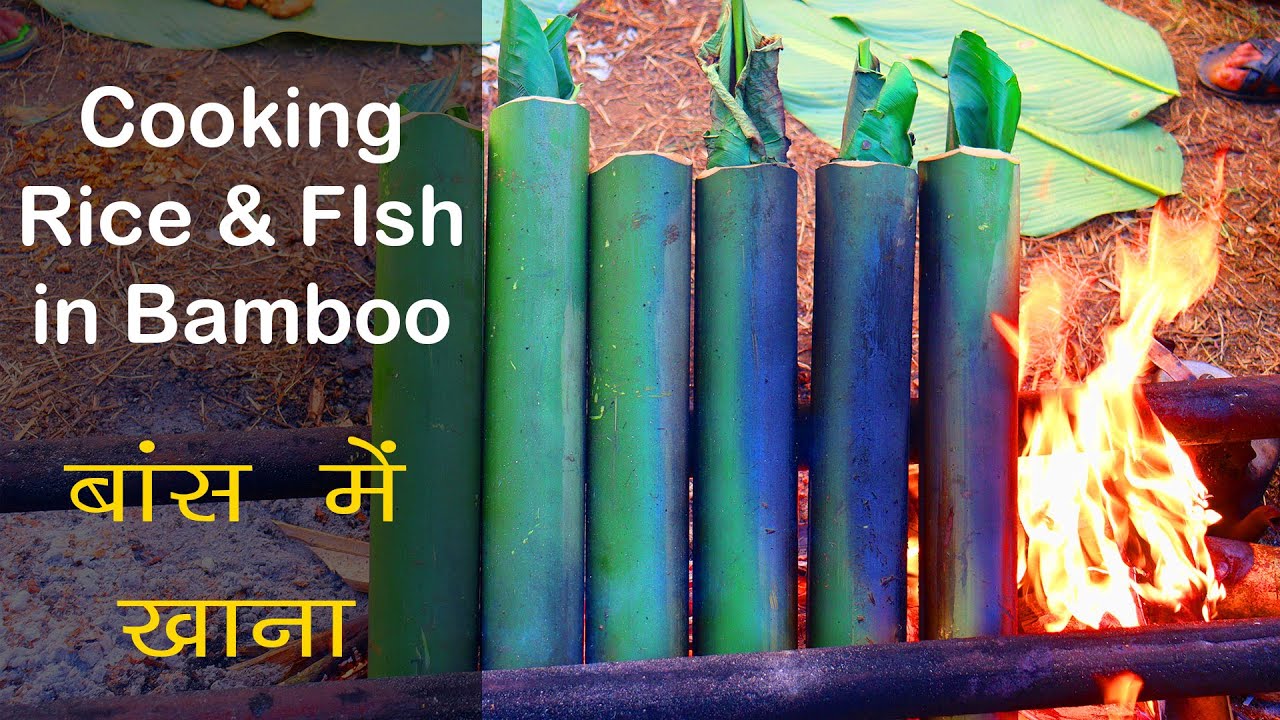 Cooking rice & fish in bamboo || बांस में चावल और मछली पकाये (survival ...