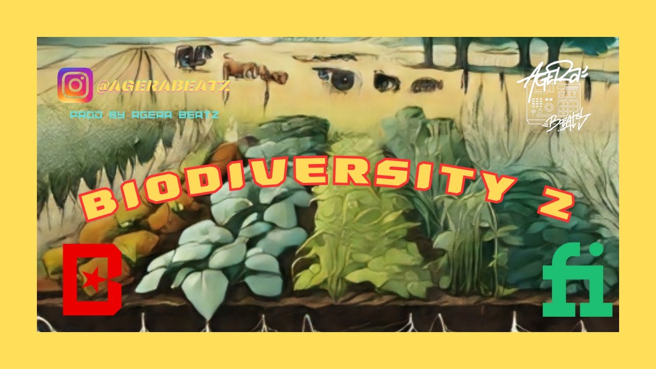 [FREE] Trap Beat "Biodiversity 2" Free Hip Hop Type Beat (Freestyle ...